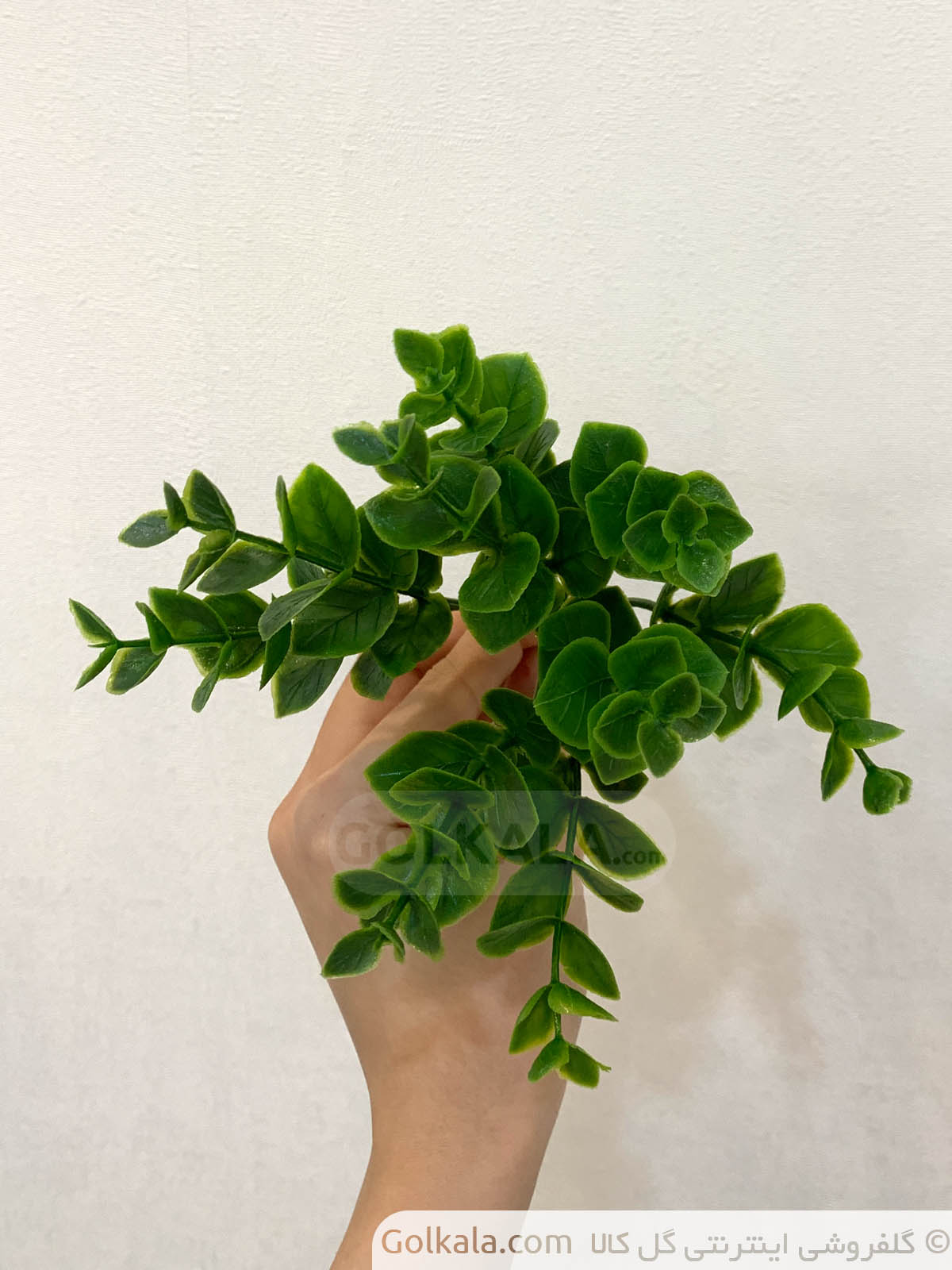 بوته برگ مصنوعی شمشاد | فروشگاه اینترنتی گل‌کالا (خرید آنلاین گل مصنوعی)