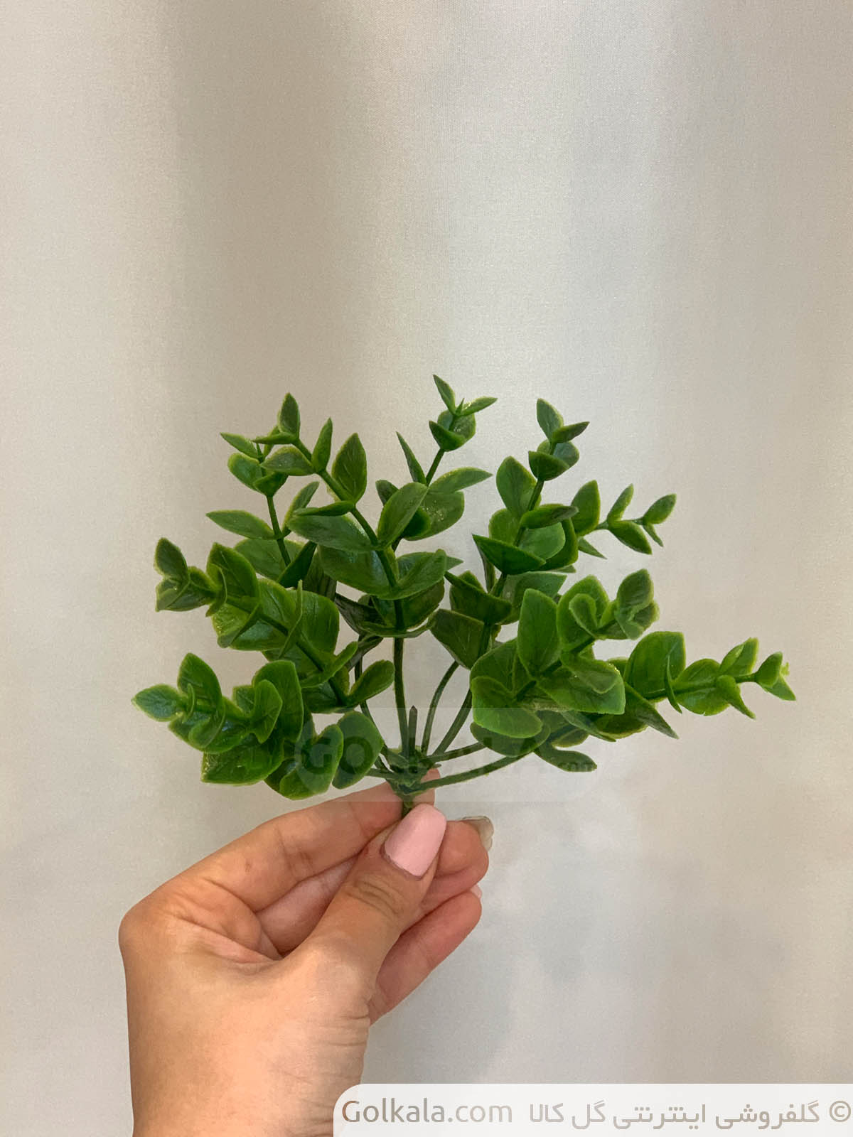 بوته برگ مصنوعی شمشاد | فروشگاه اینترنتی گل‌کالا (خرید آنلاین گل مصنوعی)