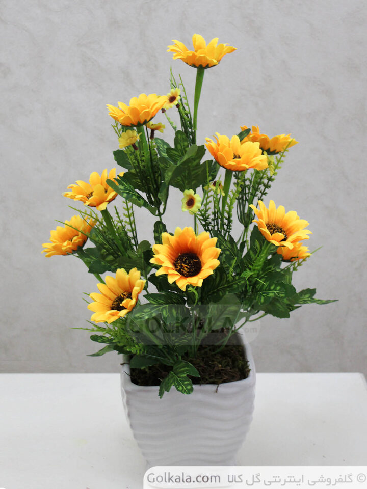 بوته گل افتابگردان 10 گل | گلفروشی اینترنتی گل کالا ( خرید آنلاین گلهای ...