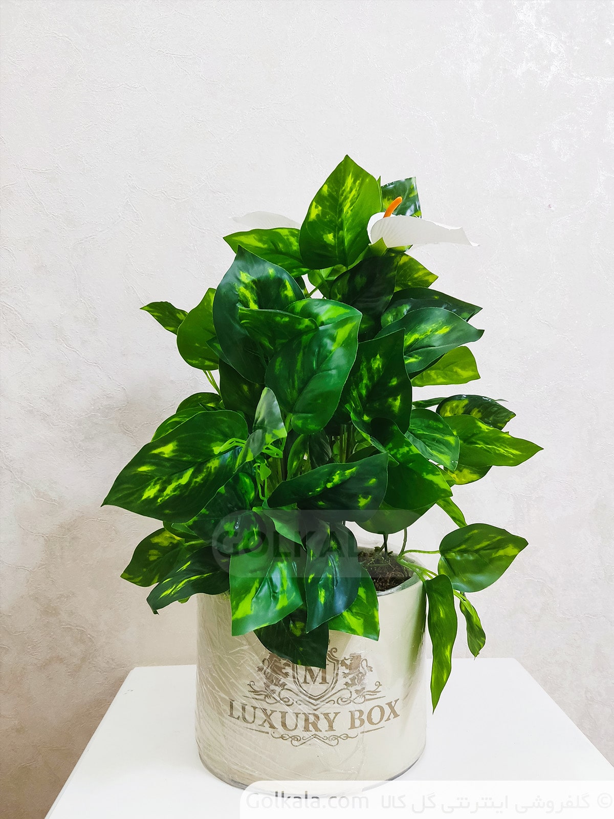 باکس گل مصنوعی بوته برگ سبز پتوس | فروشگاه اینترنتی گل‌کالا (خرید ...