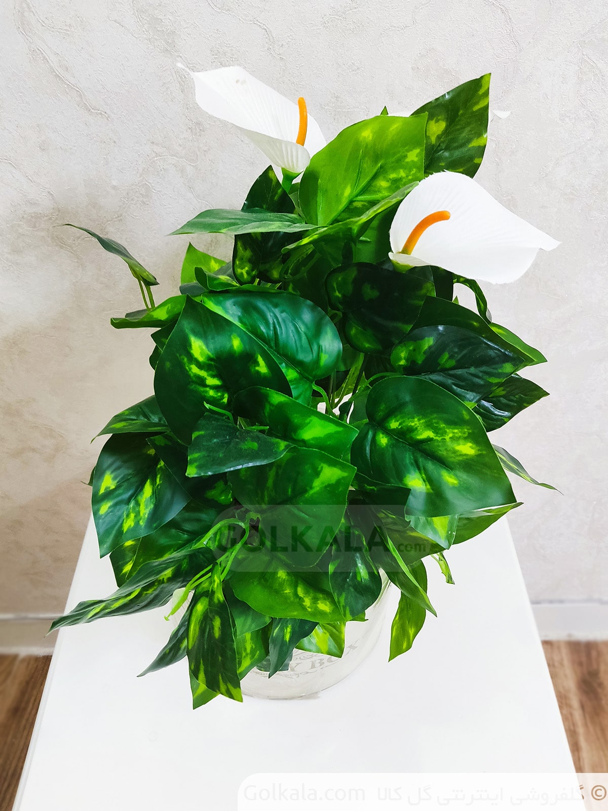 باکس گل مصنوعی بوته برگ سبز پتوس | فروشگاه اینترنتی گل‌کالا (خرید ...