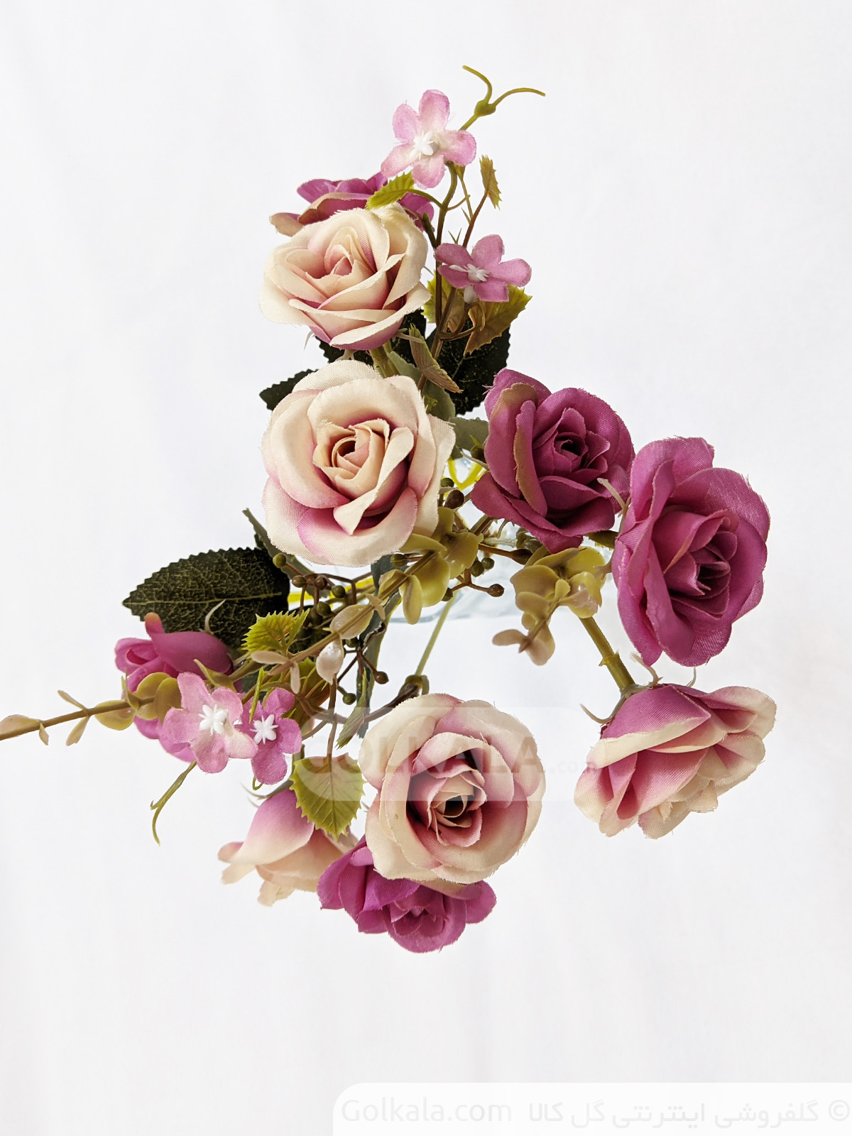 بوته گل رز صورتی دو رنگ بهاری | فروشگاه اینترنتی گل‌کالا (خرید آنلاین ...