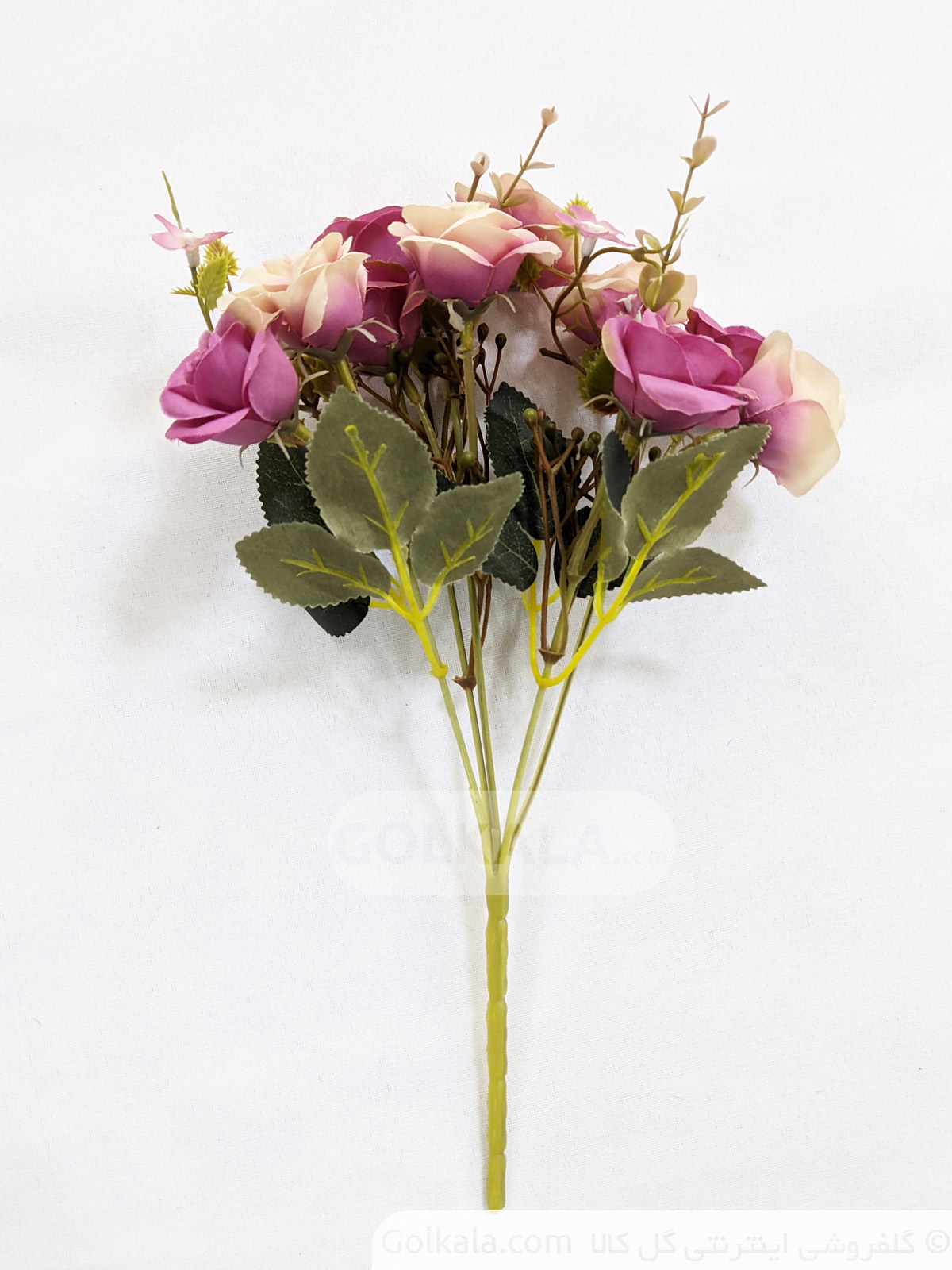 بوته گل رز صورتی دو رنگ بهاری | فروشگاه اینترنتی گل‌کالا (خرید آنلاین ...