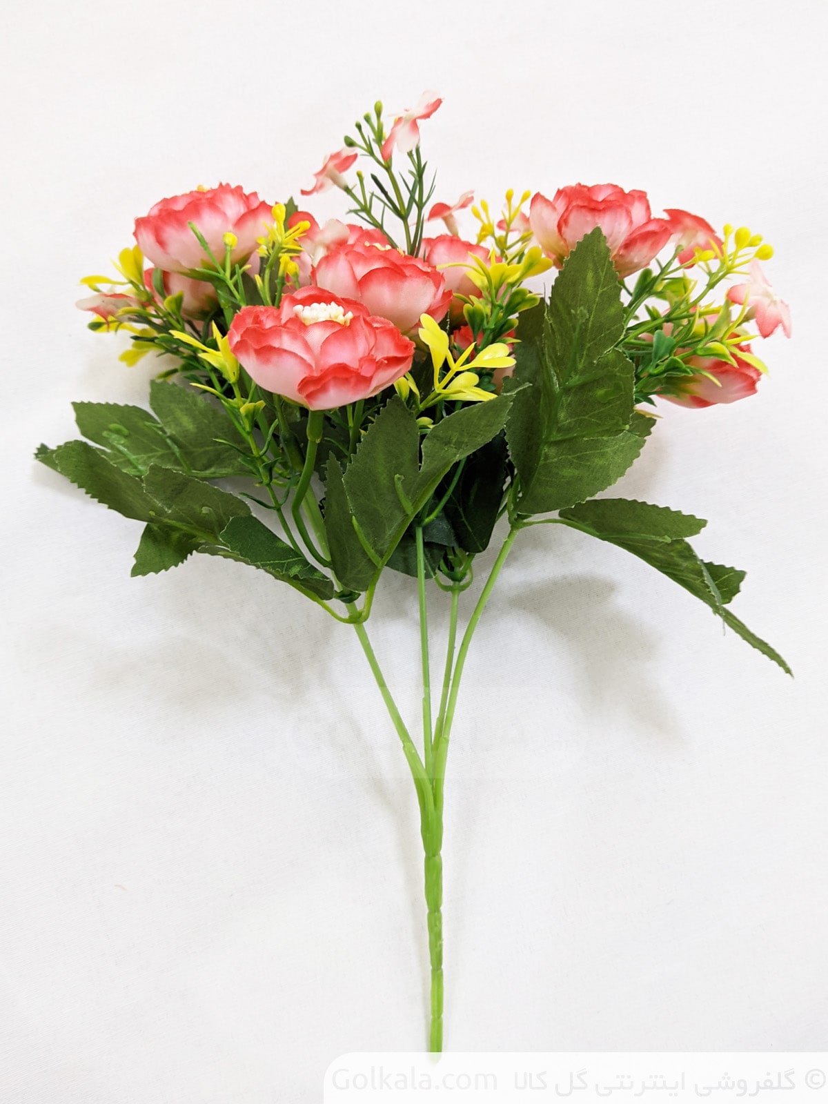 بوته گل کاملیای ژاپنی صورتی | فروشگاه اینترنتی گل‌کالا (خرید آنلاین گل ...